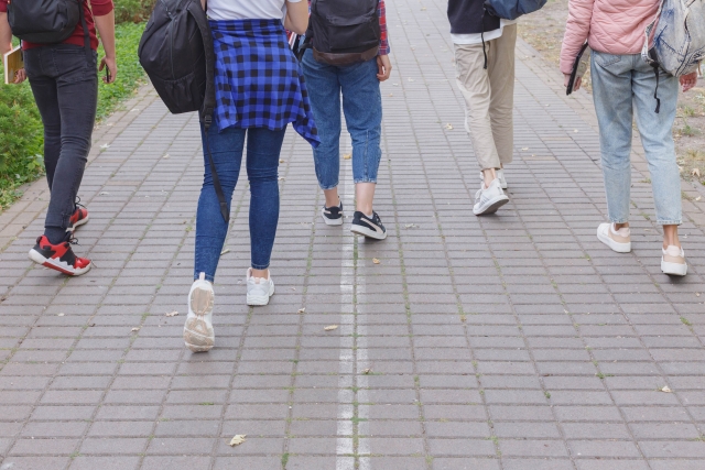 【京大生必見！】KULASISとPandAの使い方｜京大map